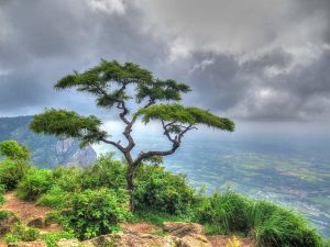 Nelliyampathy-Little Known Hill Station Near Palakkad | View Traveling