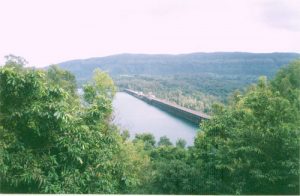 Koyna Bird Sanctuary: Little Known Bird Sanctuary In Sahyadri Hills