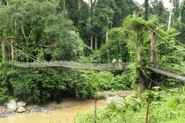 What is in Dandeli, Karnataka for a Tourist? - View Traveling