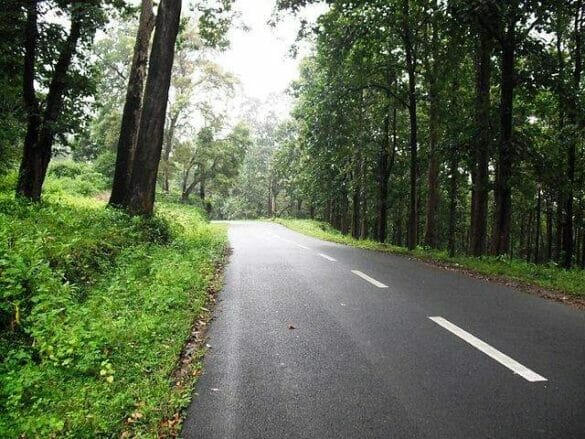 Tholpetty Wildlife Sanctuary Travel Guide | View Traveling