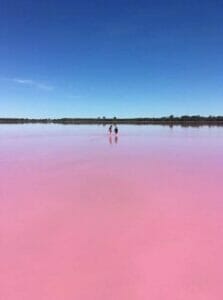 9 Beautiful Pink Lakes In Australia | View Traveling