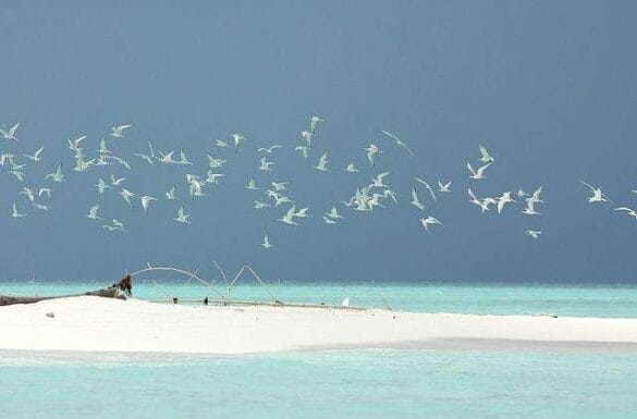 10 Natural Wonders In Asia | View Traveling